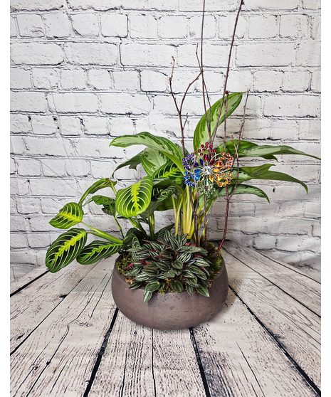 Prescott Valley Plants Delivered | Houseplants, Indoor Plants & Outdoor ...